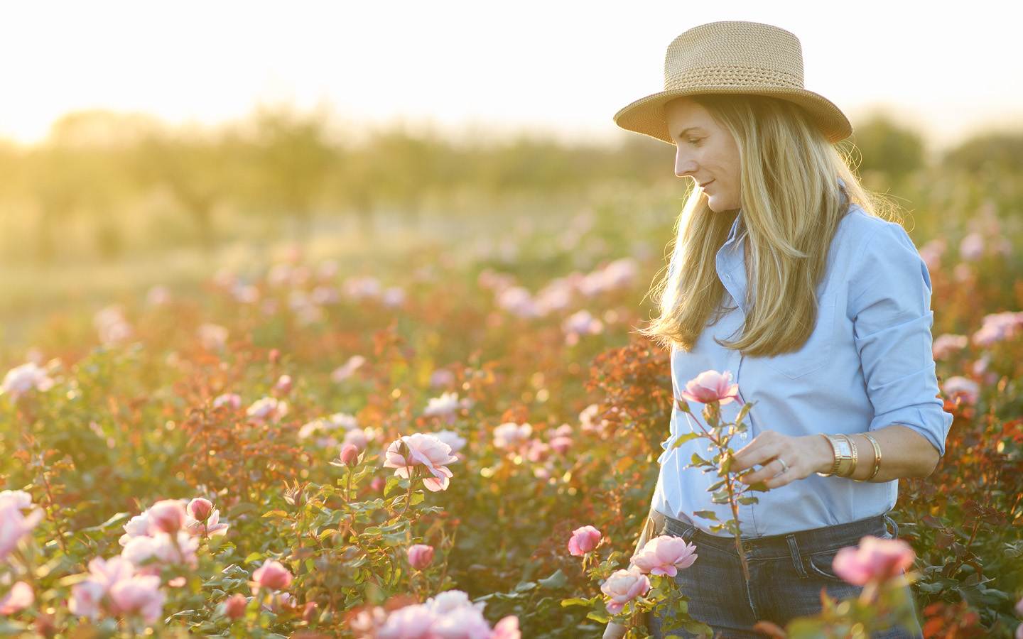Scientists have shown that smelling fresh spring flowers can improve ...